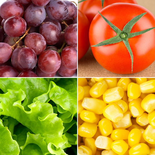 DIE KÜHLKETTE – Adam Cichon Logistik Service